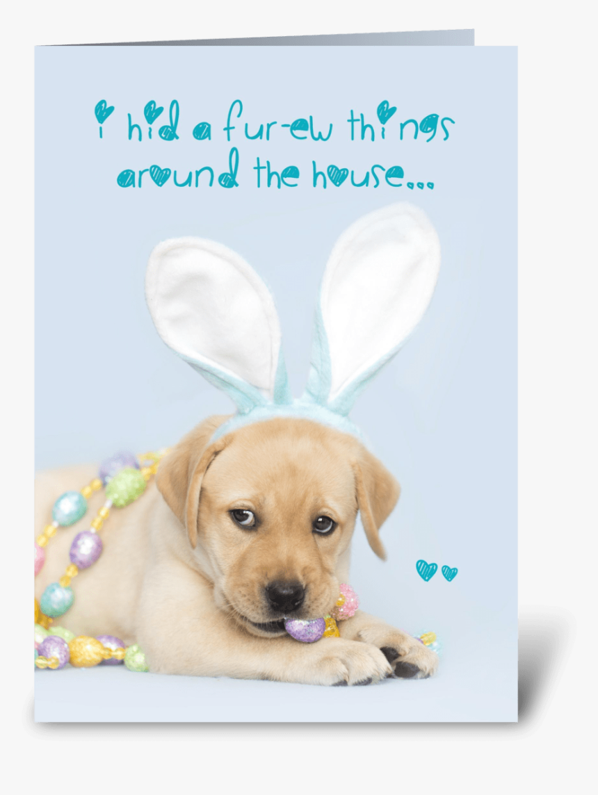 Yellow Labrador Retriever Easter Bunny Greeting Card, HD Png Download ...