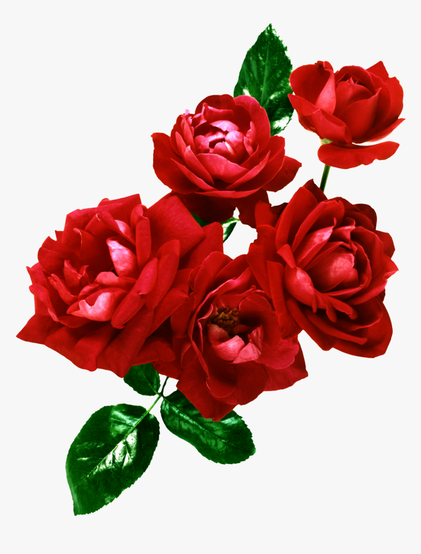 Ramo De Rosas Png