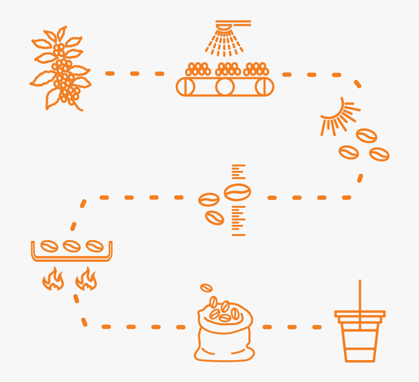 Coffee Bean Clipart Roasted, HD Png Download , Transparent Png Image ...