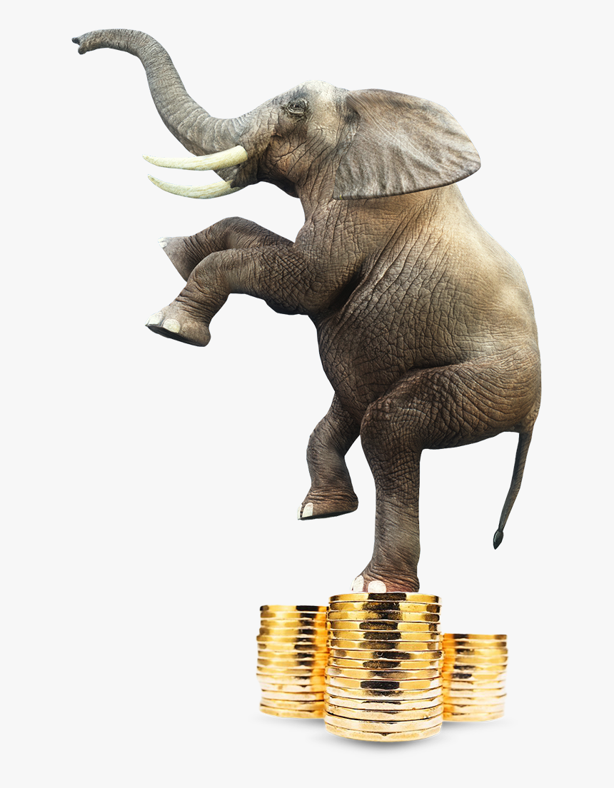 Elephant Standing On A Pile Of Coins, HD Png Download , Transparent Png ...