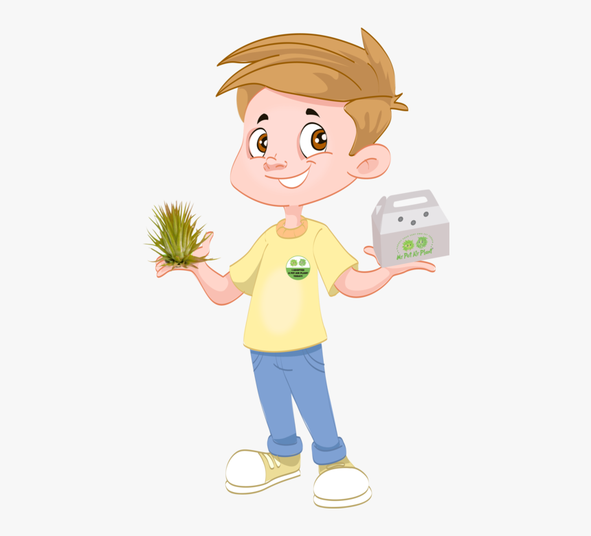 Transparent Plant Life Cycle Clipart, HD Png Download , Transparent Png ...