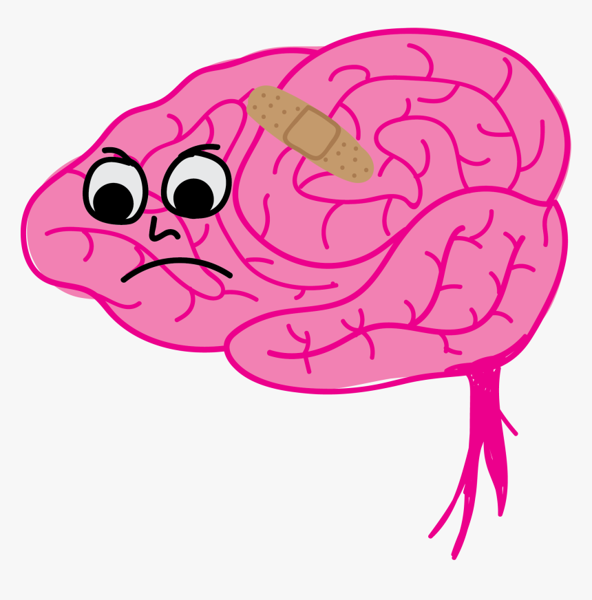 Transparent Brain, HD Png Download , Transparent Png Image - PNGitem