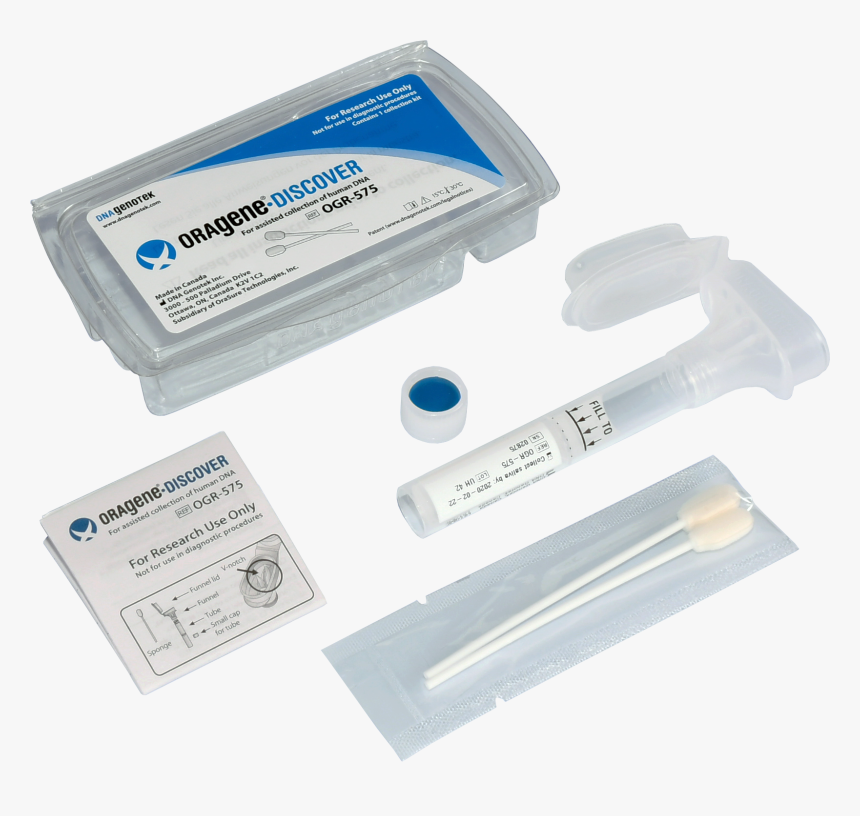 Saliva Png, Transparent Png , Transparent Png Image - PNGitem