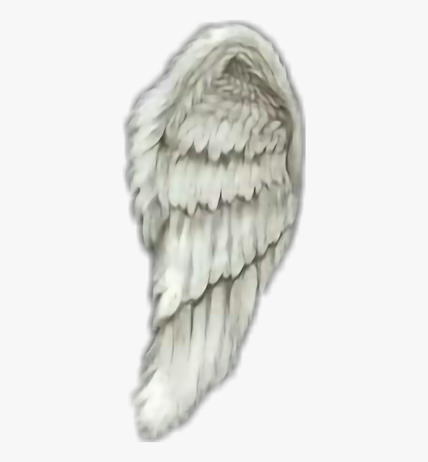 Left Angel Wing