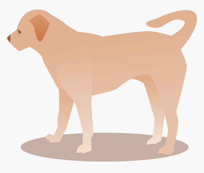 Companion Dog,tail,carnivoran - Ancient Dog Breeds, HD Png Download ...