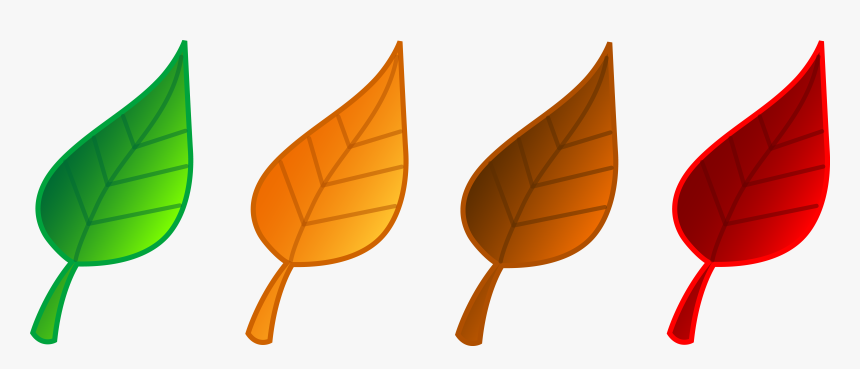 Set Of Four Tree Leaves - Colored Leaves Clip Art, HD Png Download ...