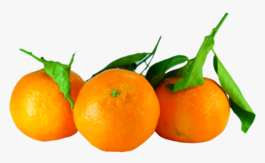 Orange Mandarin Png, Transparent Png , Transparent Png Image - PNGitem
