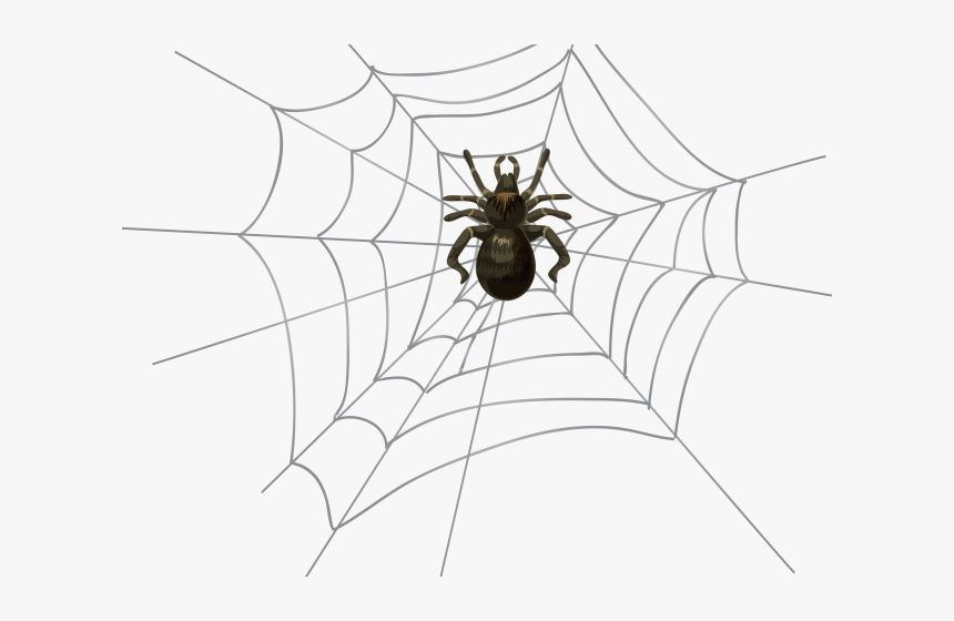 Spider Web Png Transparent, Png Download , Transparent Png Image - PNGitem