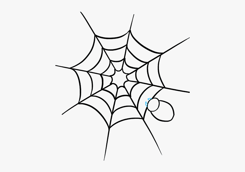 How To Draw How To Draw A Spider Web With Spider In - Colouring Pages ...