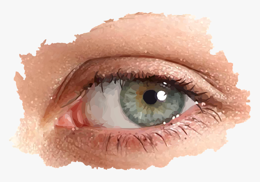 Œil Look Female Free Picture - Girl Real Eyes Png, Transparent Png ...