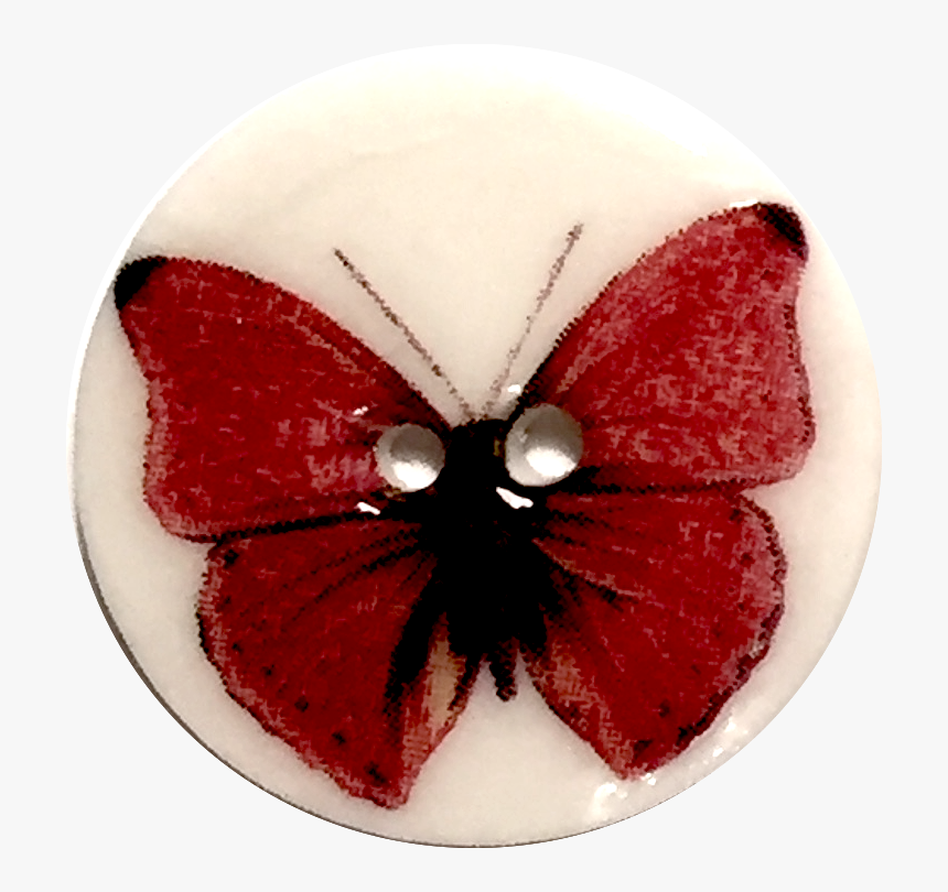 Red Butterfly Button, Porcelain, 15/16, HD Png Download , Transparent ...