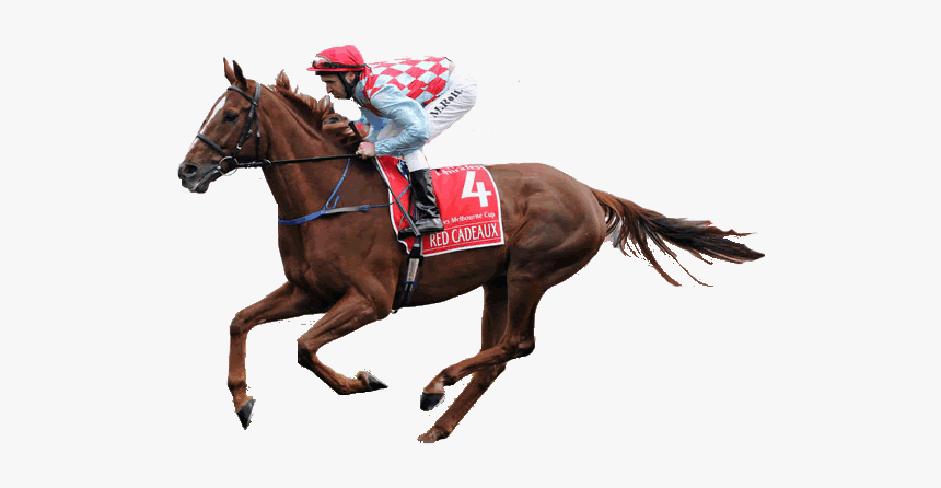 Race Horse Png, Transparent Png , Transparent Png Image - PNGitem