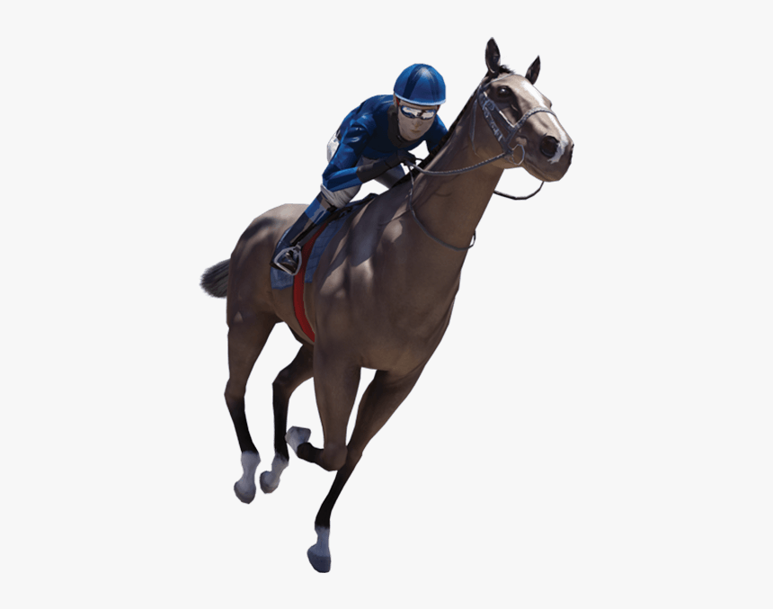 Race Horse Png, Transparent Png , Transparent Png Image - PNGitem