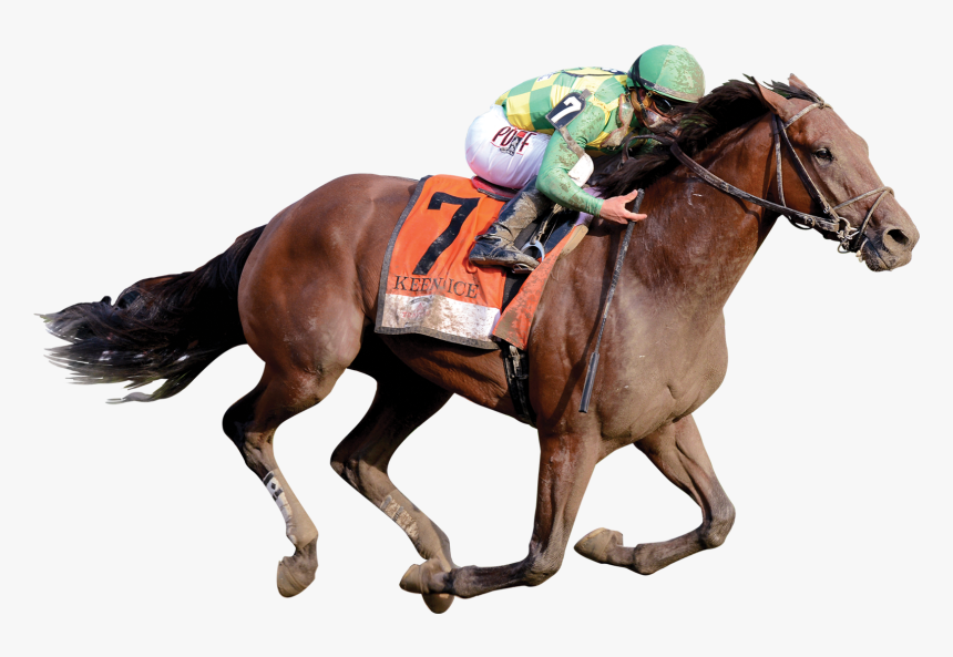 Race Horse Png, Transparent Png , Transparent Png Image - PNGitem