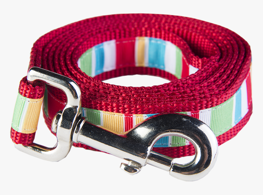 Dog Leash Png, Transparent Png , Transparent Png Image - PNGitem