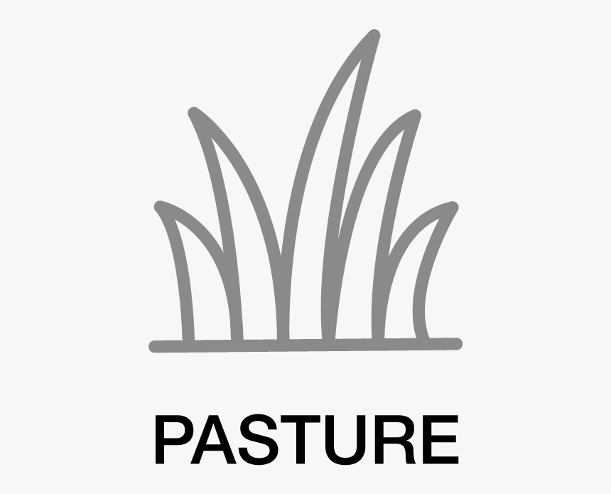 Pasture Icon, HD Png Download , Transparent Png Image - PNGitem