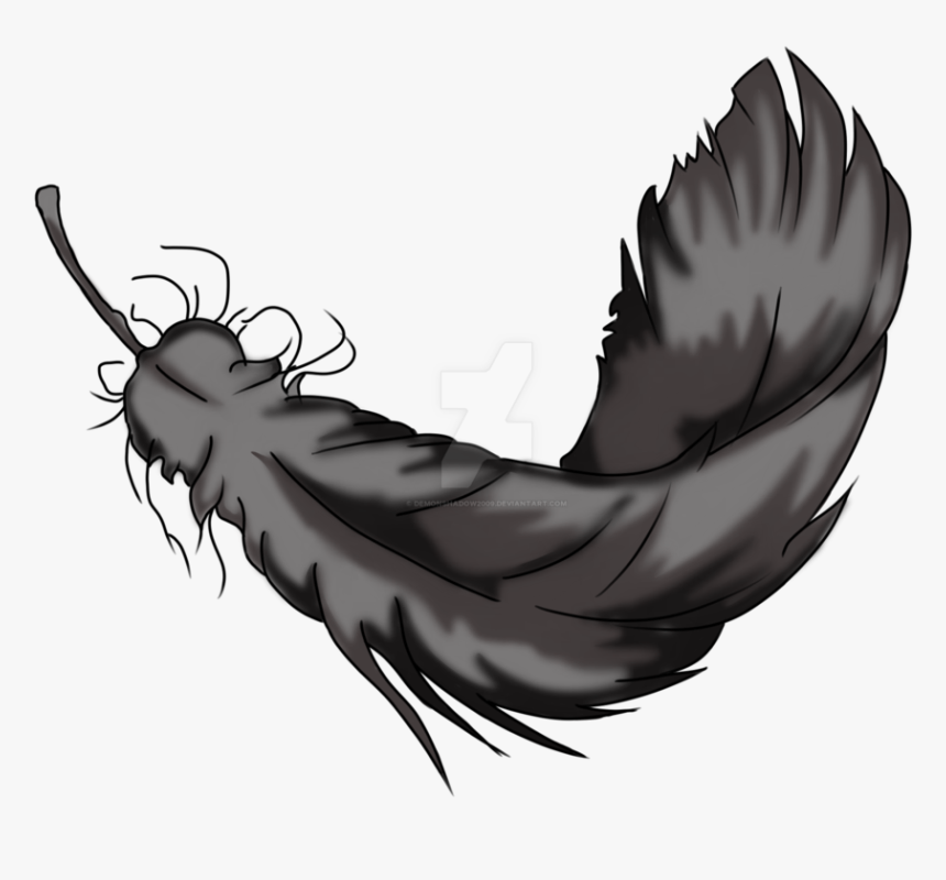 Raven Feather Png, Transparent Png , Transparent Png Image - PNGitem
