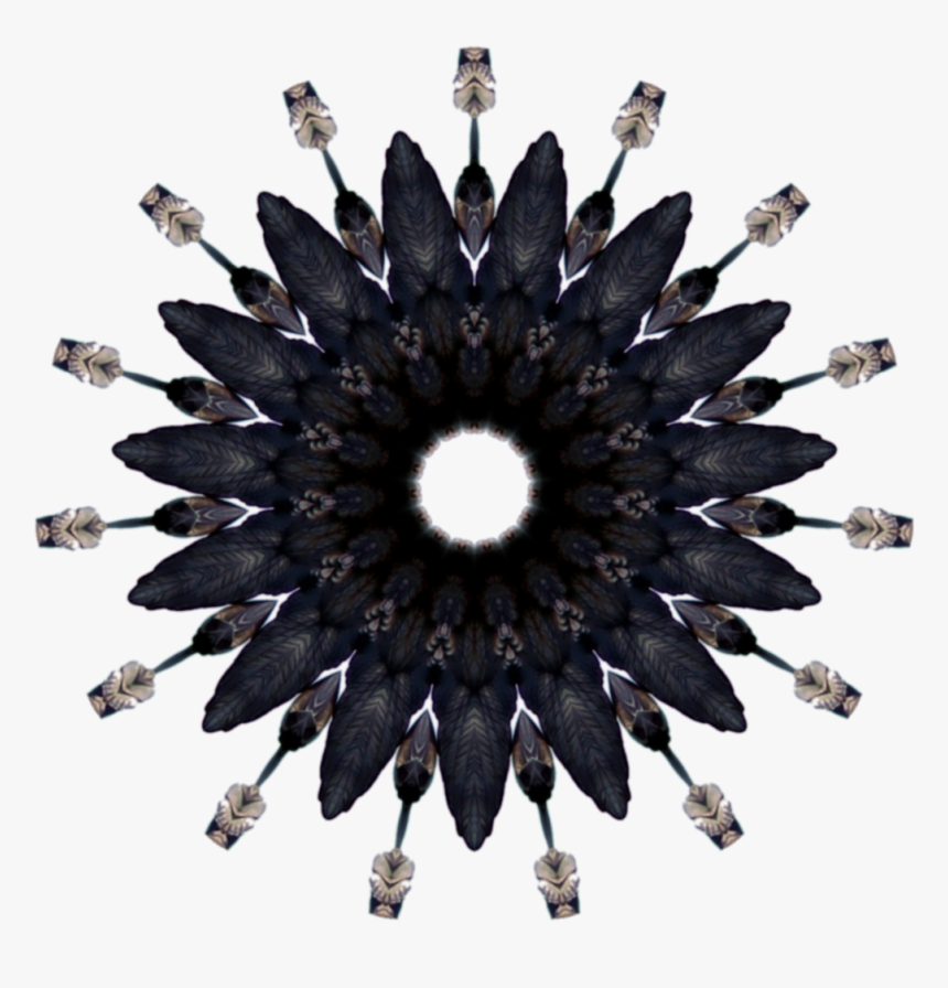 Raven Feather Png, Transparent Png , Transparent Png Image - PNGitem