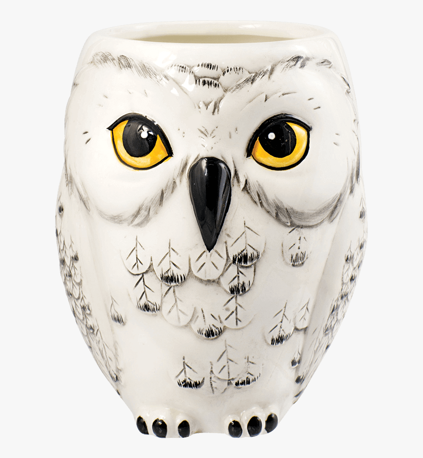 Hedwig Png, Transparent Png , Transparent Png Image - PNGitem