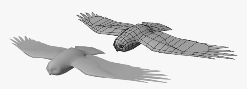 Harrypotter Hedwig , Png Download, Transparent Png , Transparent Png ...