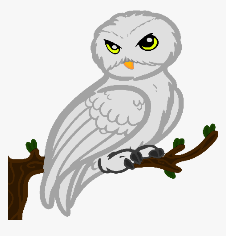 Collection Of Free Hedwig Drawing Realistic Download, HD Png Download ...