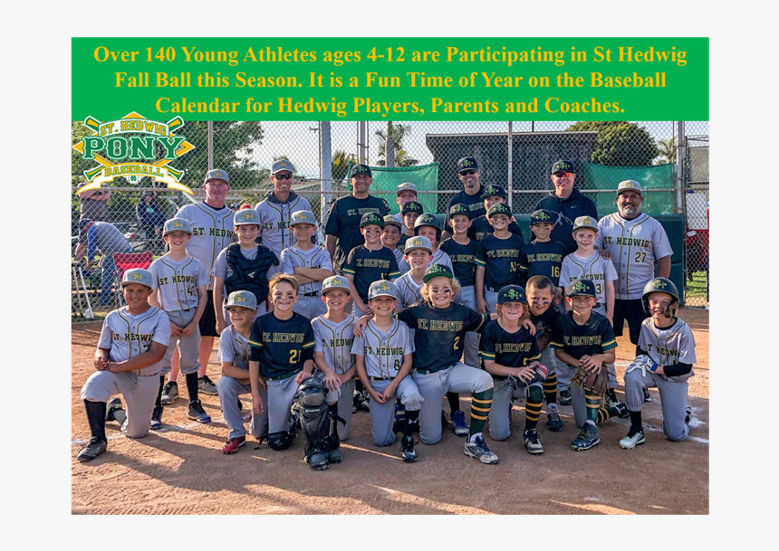 Hedwig Png, Transparent Png , Transparent Png Image - PNGitem