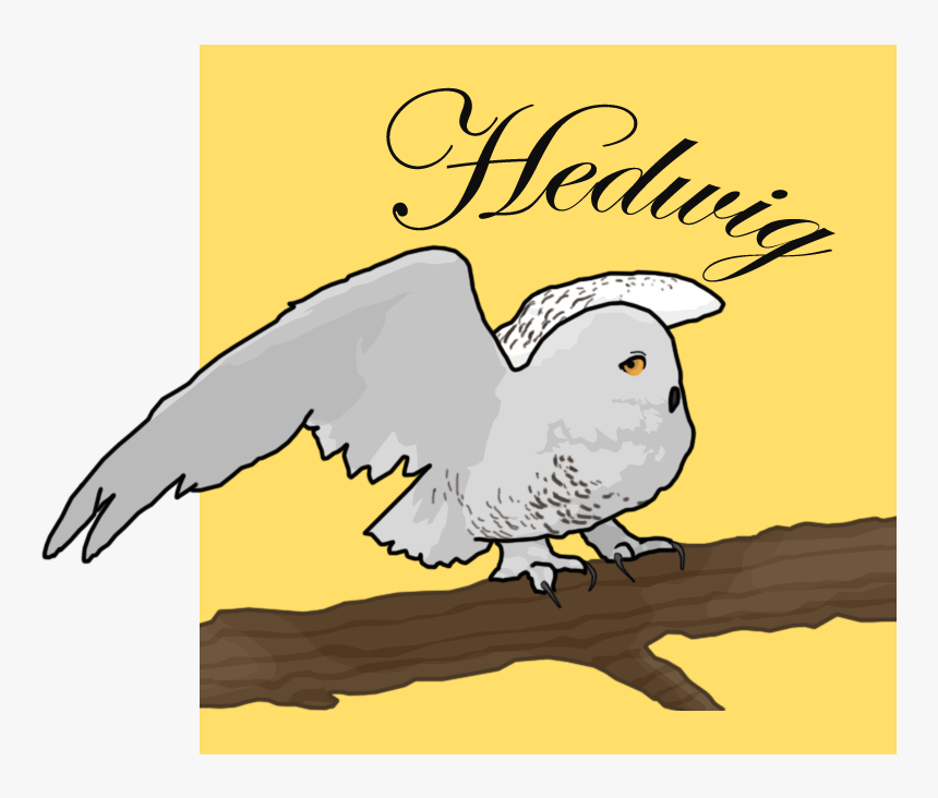 Transparent Hedwig Clipart, HD Png Download , Transparent Png Image ...