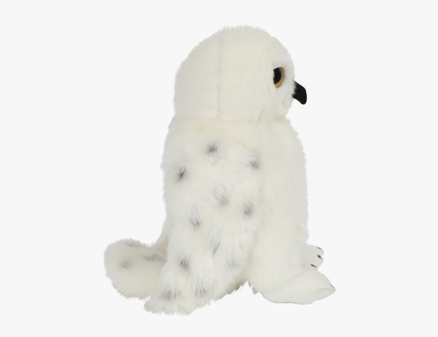 Hedwig Png, Transparent Png , Transparent Png Image - PNGitem