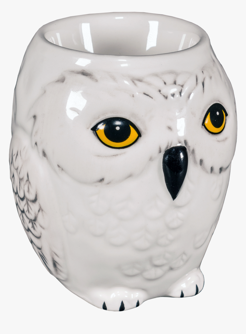 Hedwig Png, Transparent Png , Transparent Png Image - PNGitem