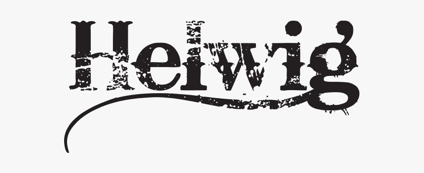 Hedwig Png, Transparent Png , Transparent Png Image - PNGitem