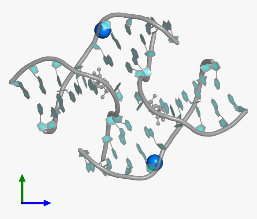 Compound Wall Png, Transparent Png , Transparent Png Image - PNGitem