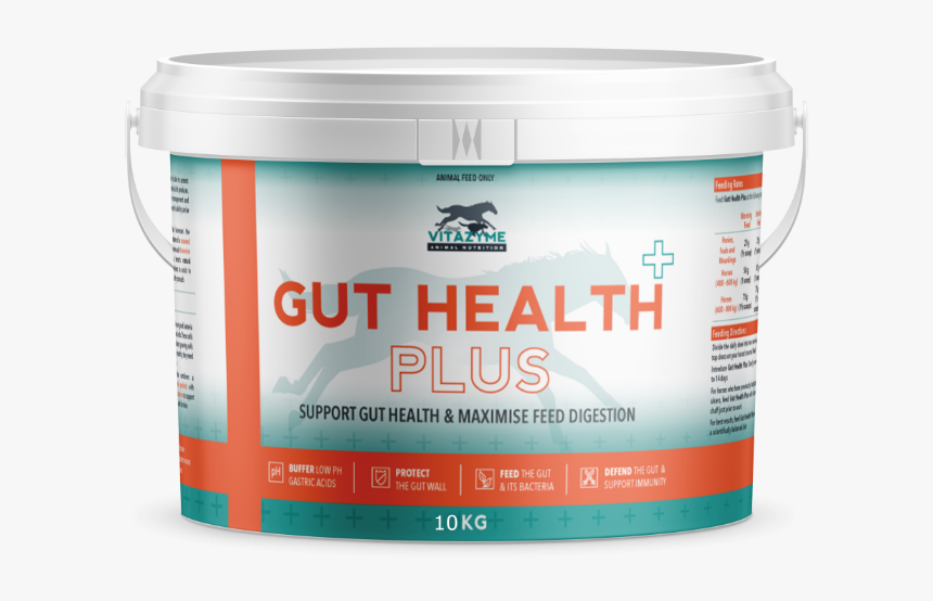 Compound Wall Png, Transparent Png , Transparent Png Image - PNGitem