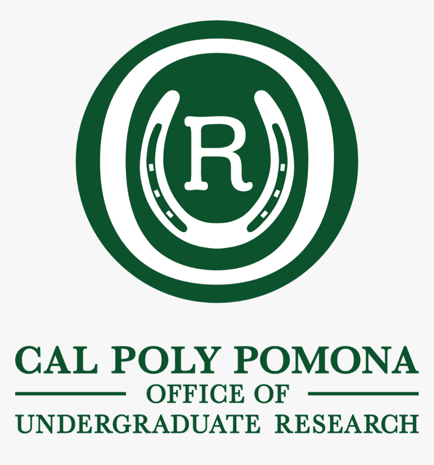 Our Logo, HD Png Download , Transparent Png Image - PNGitem