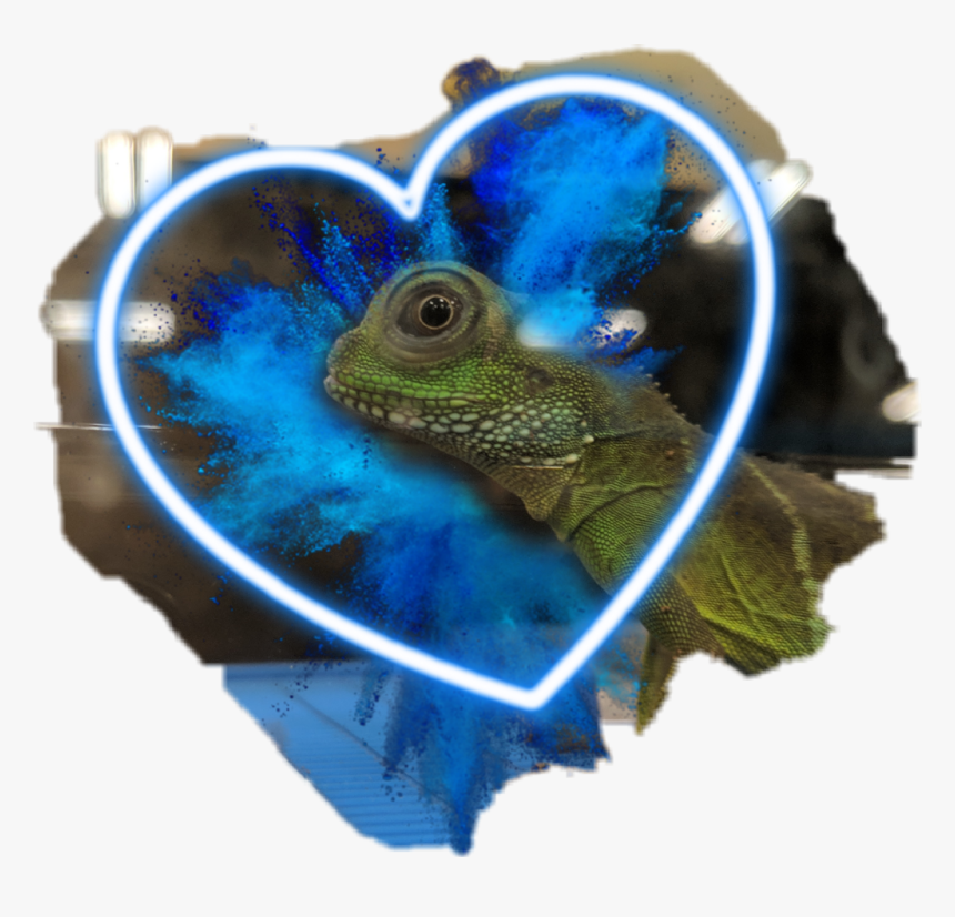 Petsmart Png, Transparent Png , Transparent Png Image - PNGitem