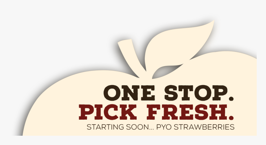 Starting Soon Png, Transparent Png , Transparent Png Image - PNGitem