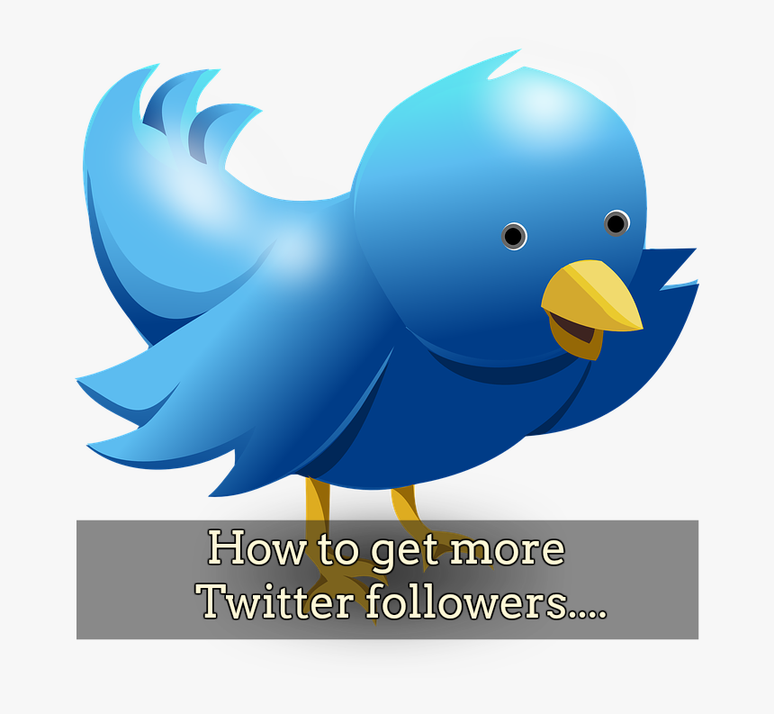 Follow Me On Twitter Png, Transparent Png , Transparent Png Image - PNGitem