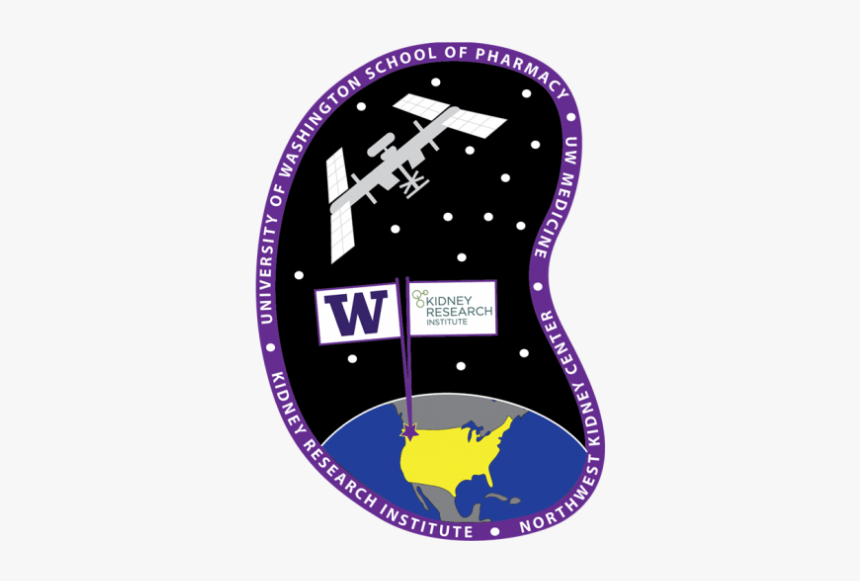 R Kelly Png, Transparent Png , Transparent Png Image - PNGitem