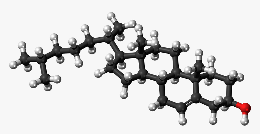 Ent-cholesterol Molecule Ball, HD Png Download , Transparent Png Image ...