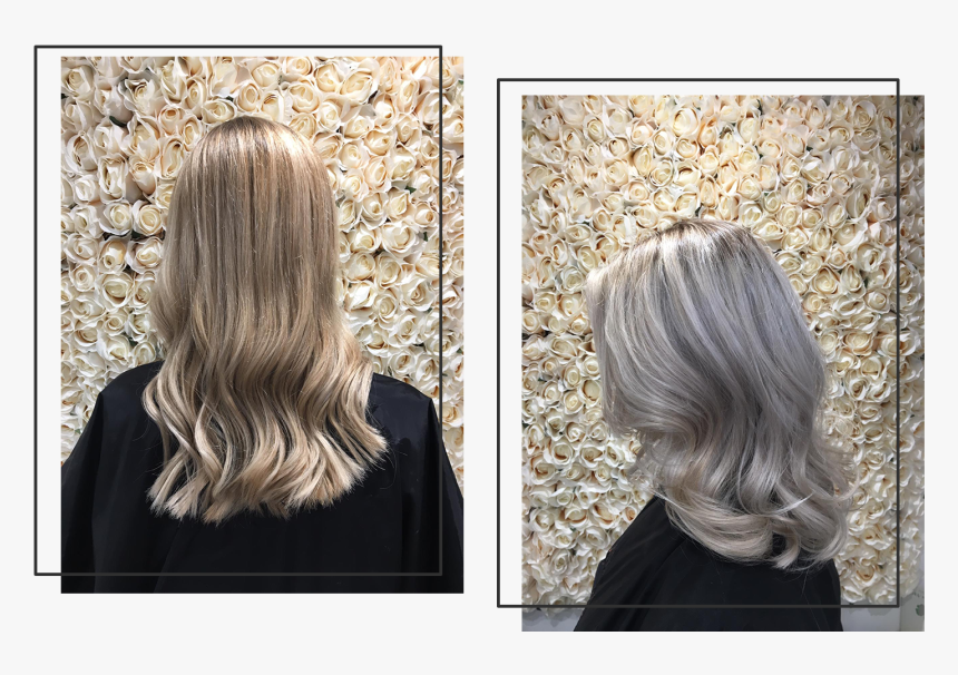 Babylights, HD Png Download , Transparent Png Image - PNGitem