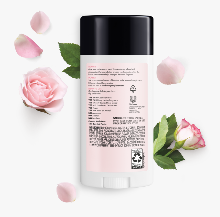 Flower Stick Png, Transparent Png , Transparent Png Image - PNGitem