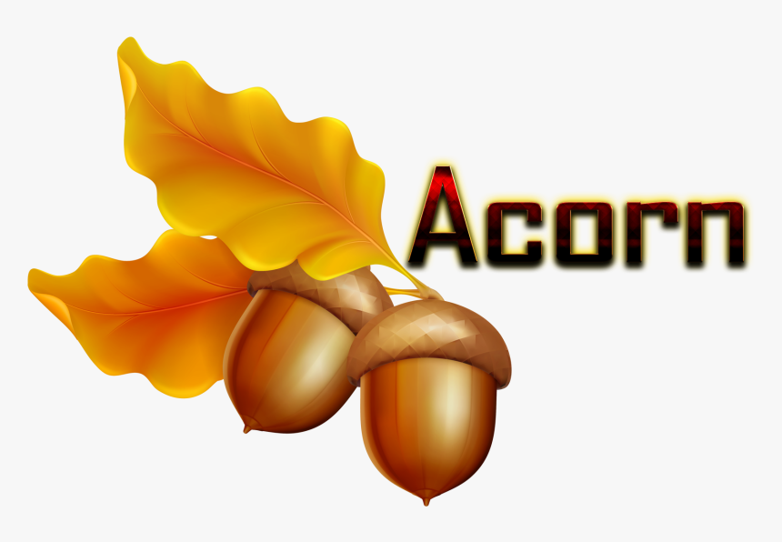 Acorn Png Hd, Transparent Png , Transparent Png Image - PNGitem
