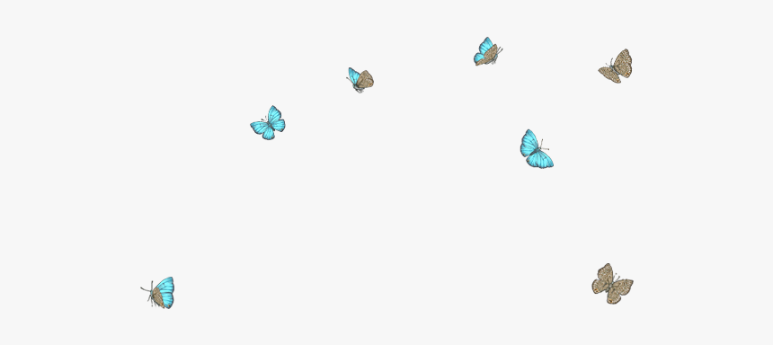Butterflies Swarm Png