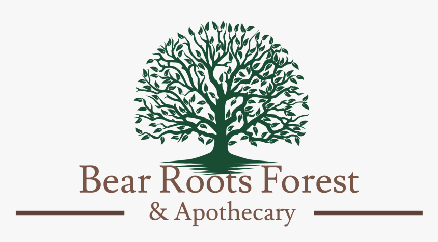 Bear Roots Forest, HD Png Download , Transparent Png Image - PNGitem