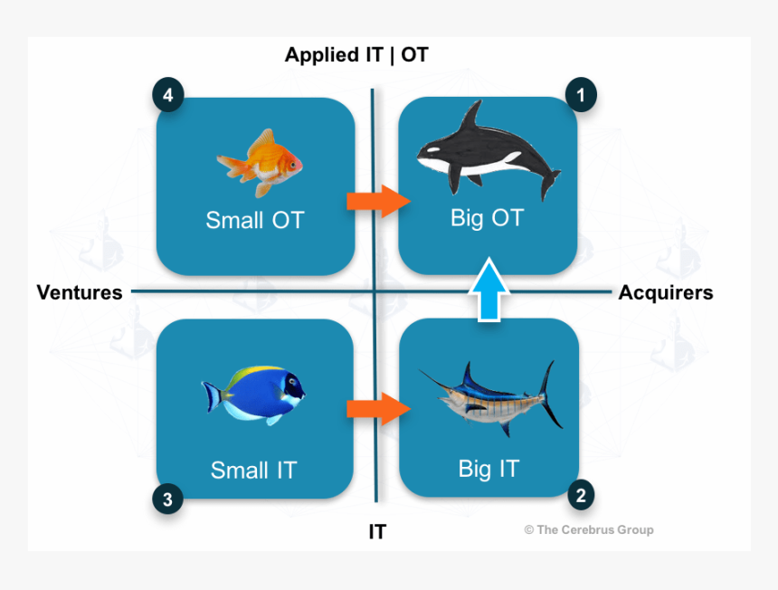 It Ot Fish, HD Png Download , Transparent Png Image - PNGitem