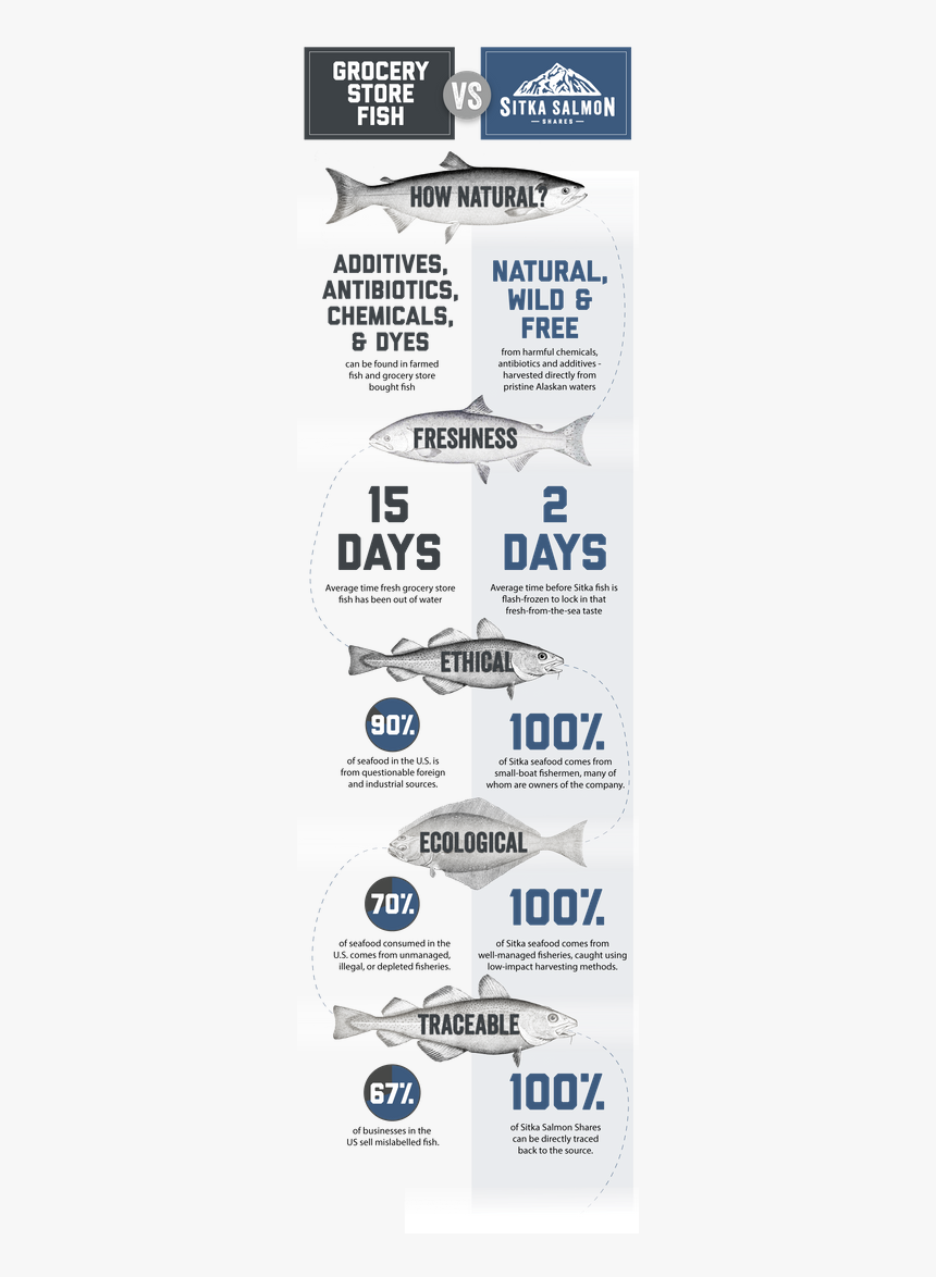 Fish Group Png, Transparent Png , Transparent Png Image - PNGitem