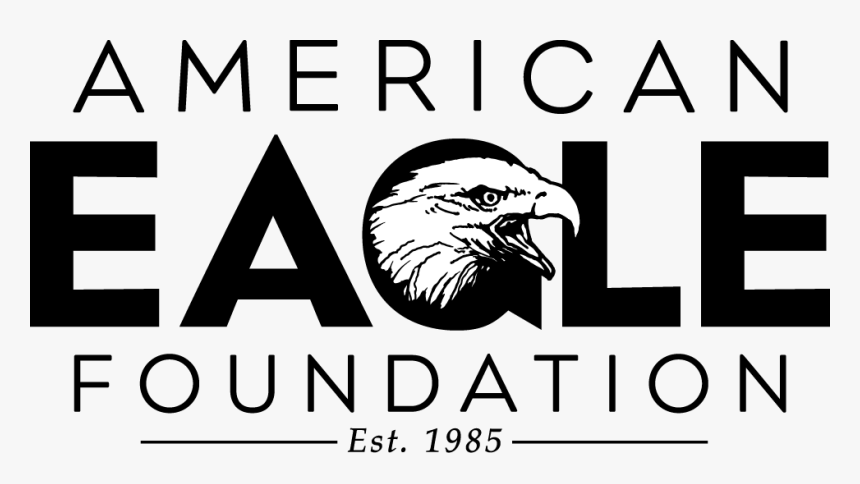 Aef Logo, HD Png Download , Transparent Png Image - PNGitem