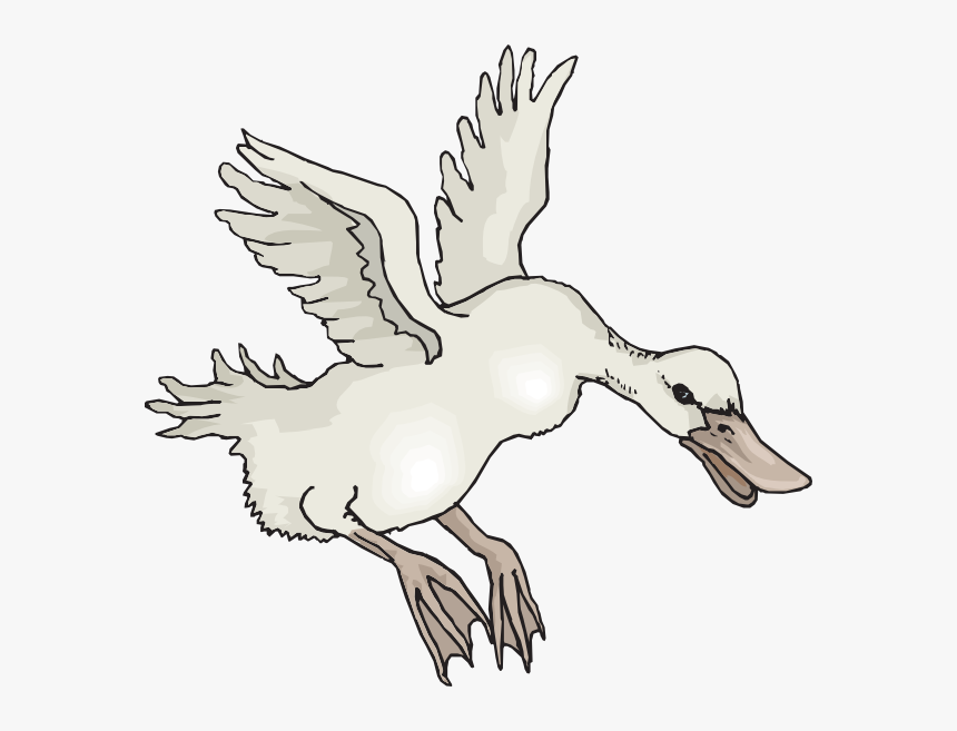 Landing White Duck Svg Clip Arts, HD Png Download , Transparent Png ...