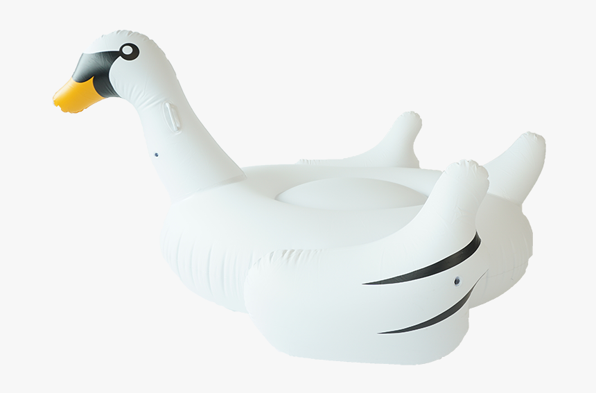 Sunfloats Inflatable White Swan Pool Floats, HD Png Download ...