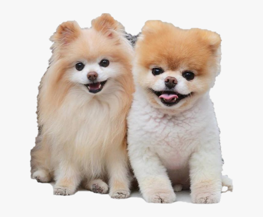 Boo Png Hd, Transparent Png , Transparent Png Image - PNGitem