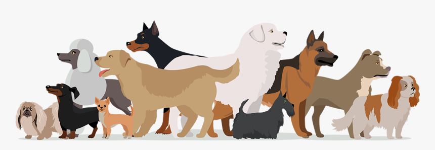 Service Dog Png, Transparent Png , Transparent Png Image - PNGitem